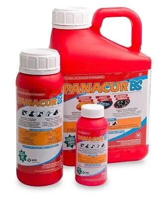 PANACURE-BS-200ML – Biovet